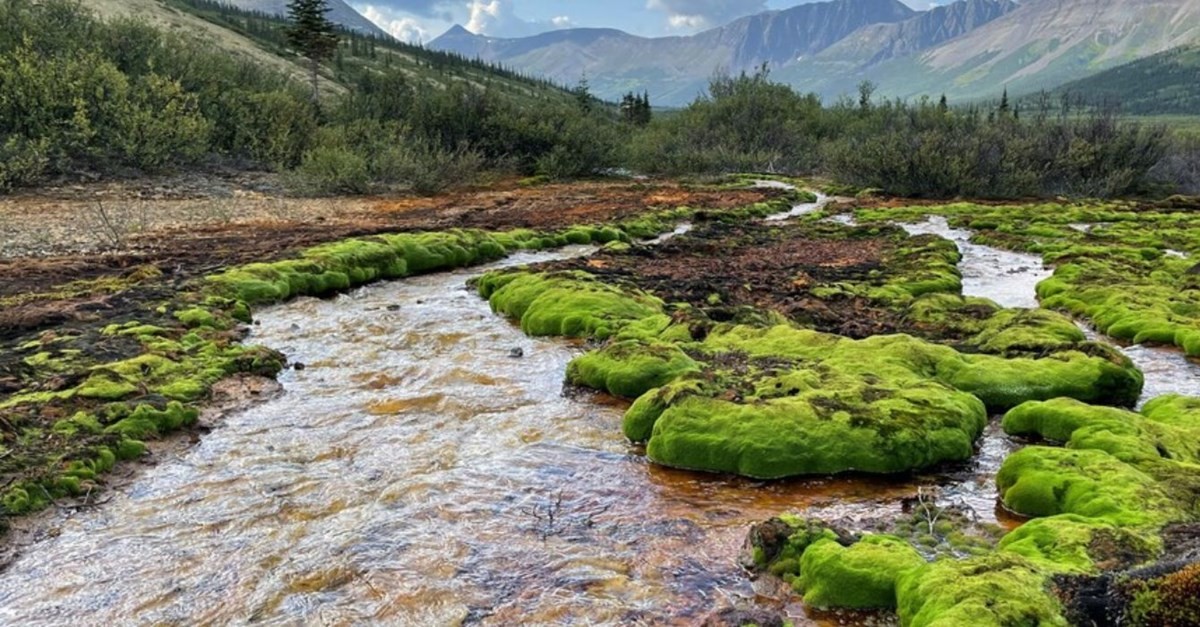 Find a better way: Managing climate risks