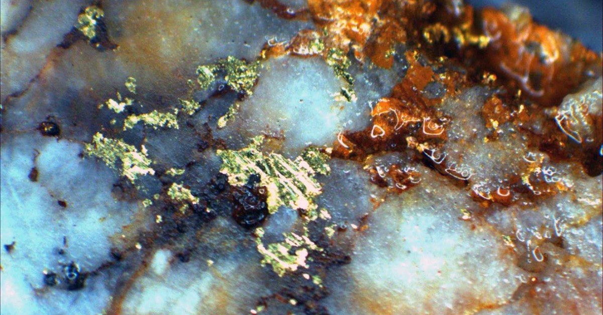 Geoscience Society