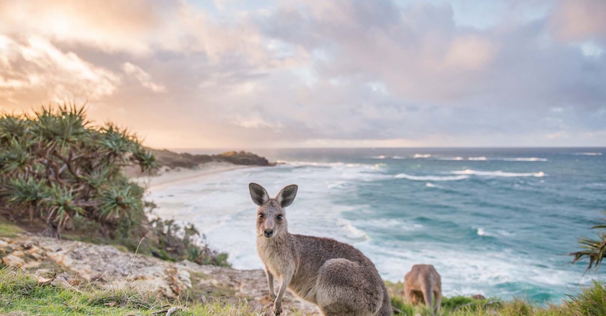 Sibelco tour Minjerribah - Life of Mine
