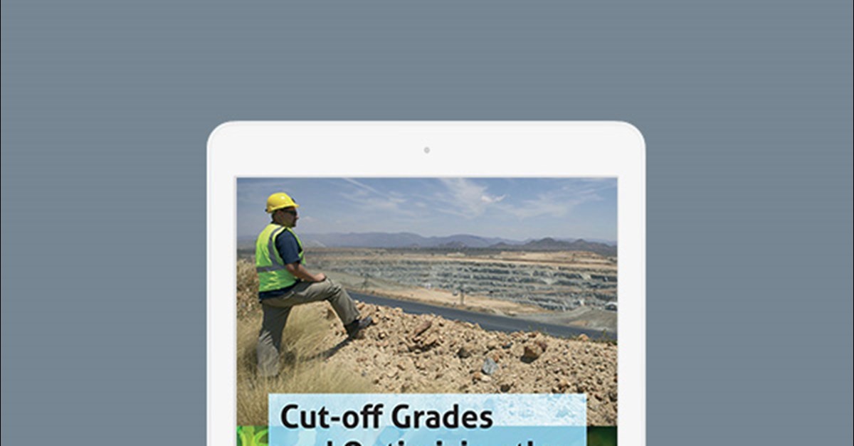 Cut-off Grades and Optimising the Strategic Mine Plan PDF