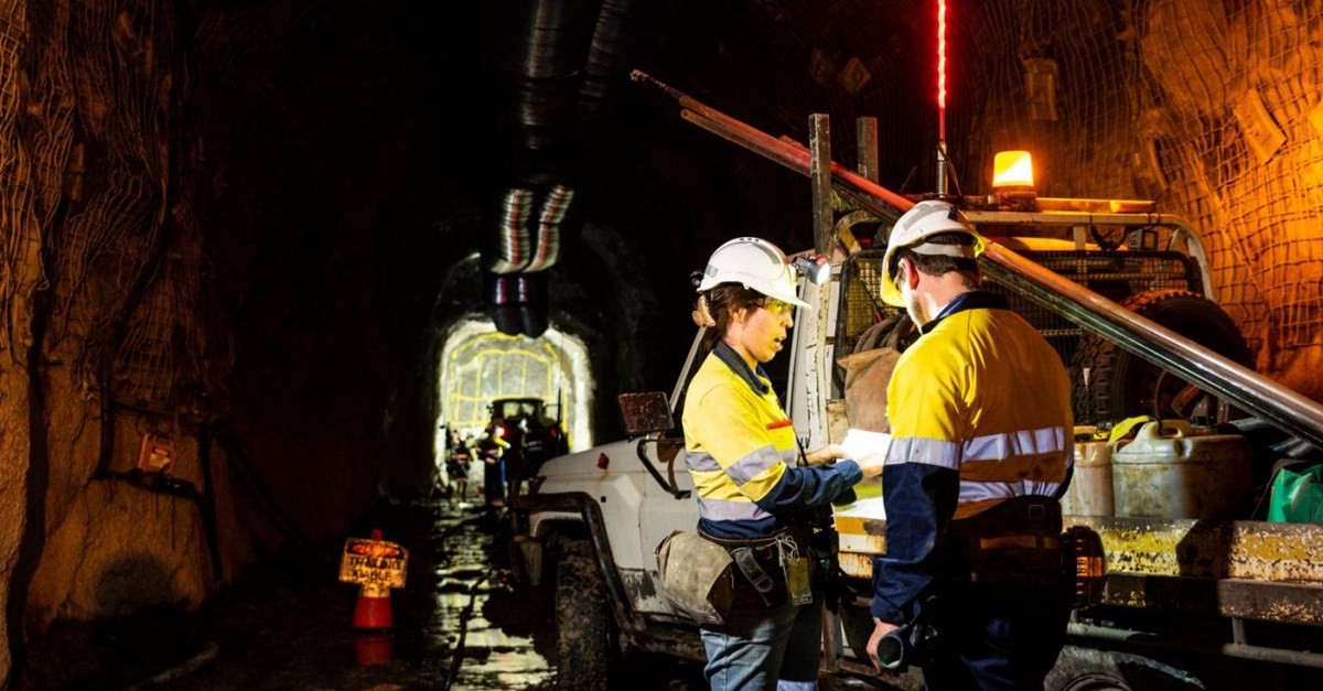 Professional disciplines